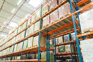 Pallet Shuttle Racking System | WDX